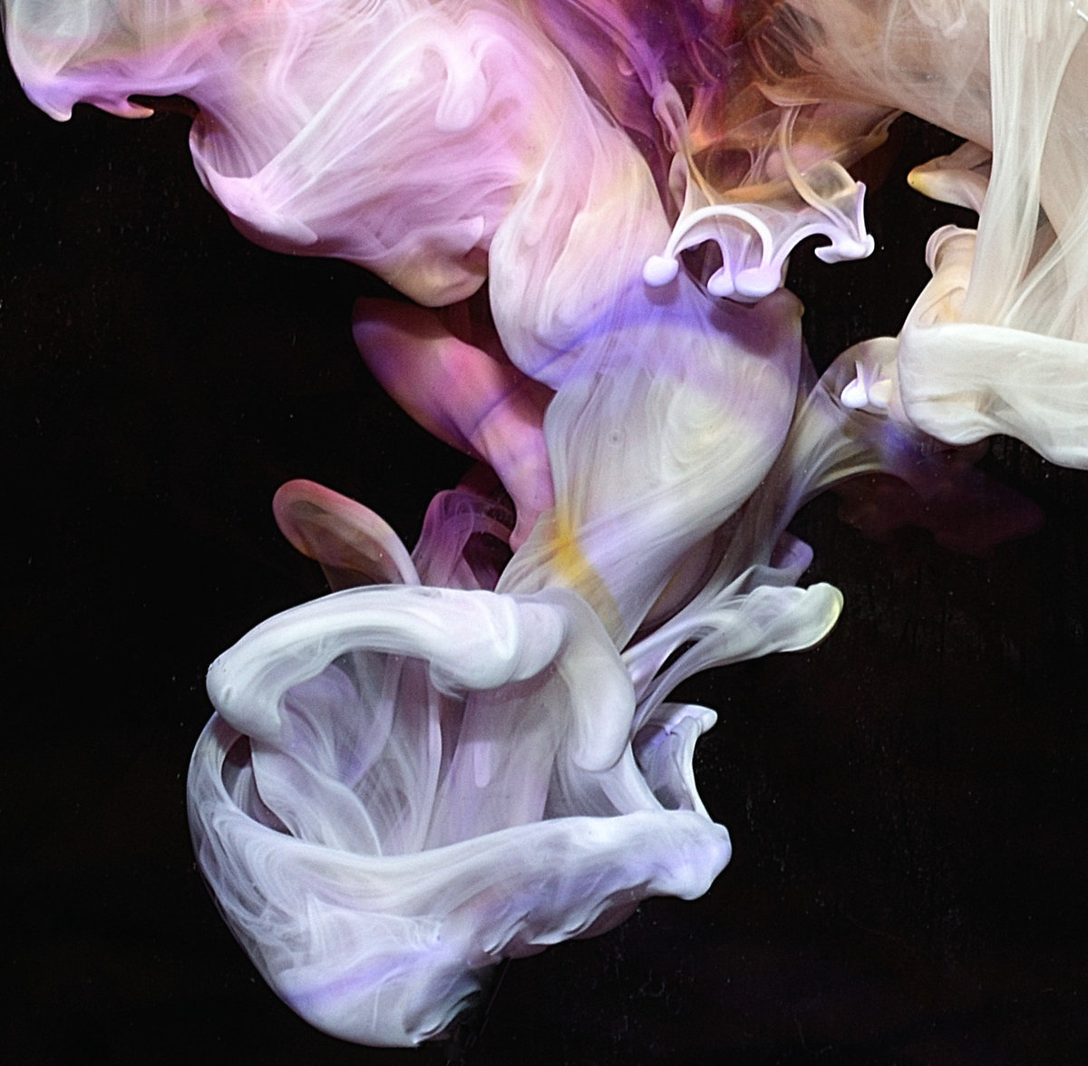 Electro News @ – Contrefaçon, Alice Glass, The Chemical Brothers,Simian ...